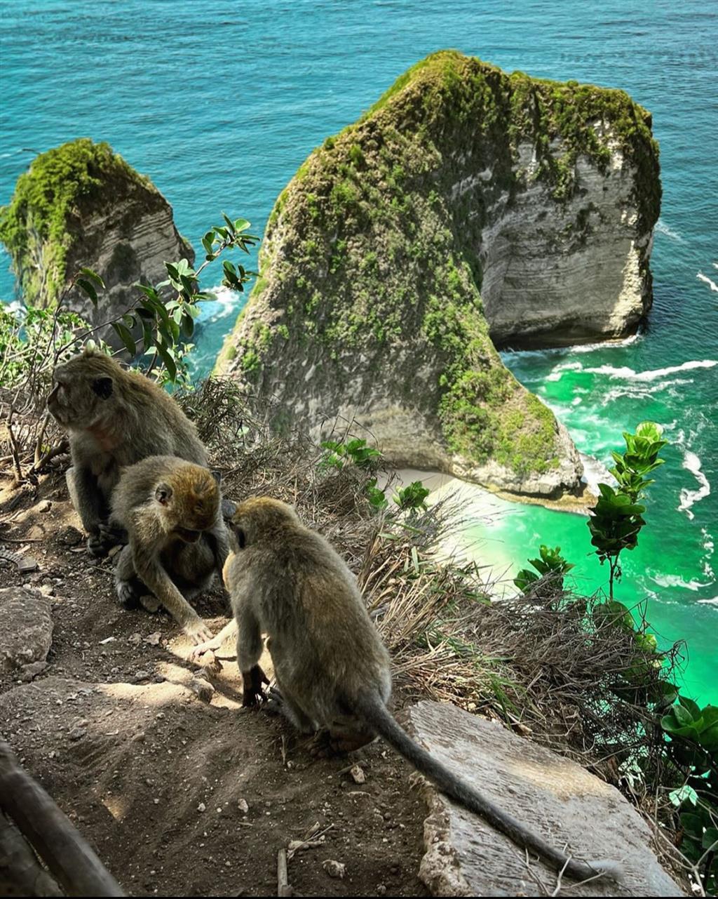 Nusa Penida Tour For Couple | Ticket2u