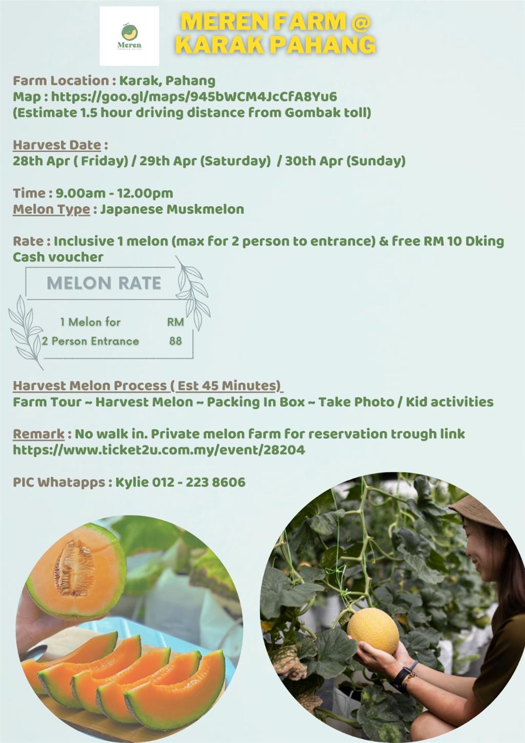 Japanese Musk Melon Harvest Entrance Ticket, Meren Farm@Karak Pahang