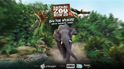 Safari Zoo Run 2020 | Ticket2u