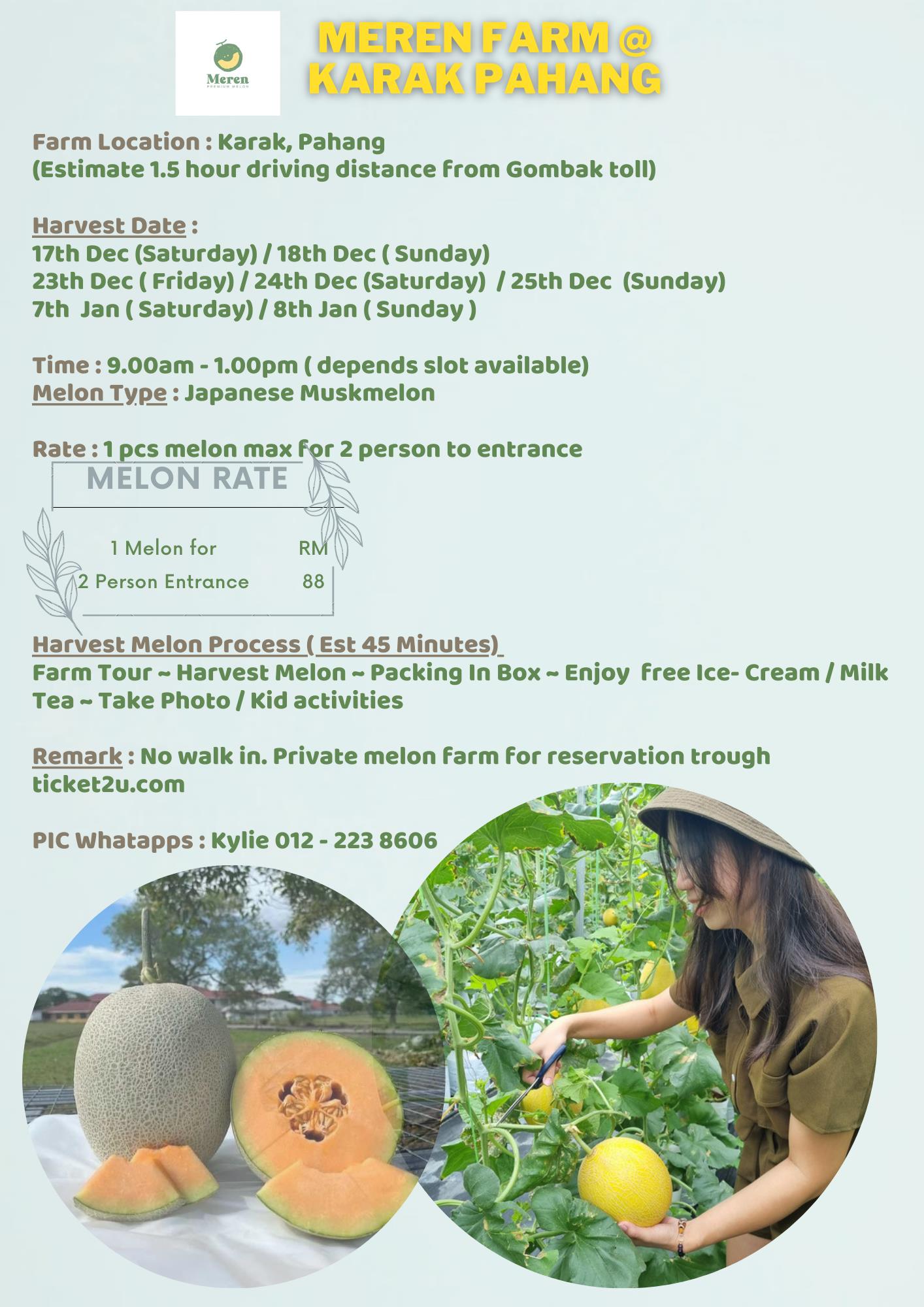 Japanese Musk Melon Harvest Entrance Ticket | Ticket2u