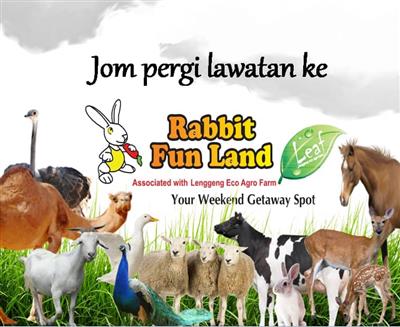 Farm Activities (2hrs) @ Rabbit Funland | Ticket2u