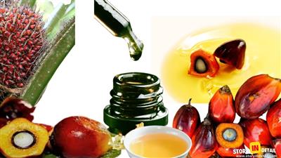 Powers of Batana Oil: Unveiling the Ultimate Guide | Ticket2u