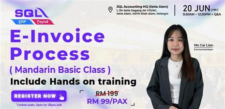 SQL E-Invoice Mandatory Implementation Course (MANDARIN)